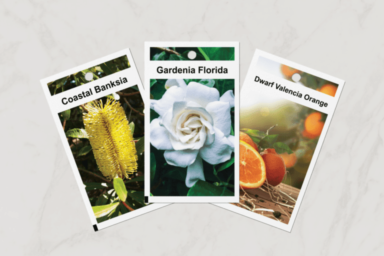 How Print-on-Demand Plant Labels Reduce Waste for Growers | Guru Labels